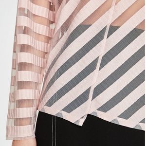 Zara | Tops | Zara Pink Sheer Striped Long Sleeve Blouse | Poshmark